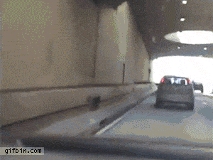 Crash Barrier GIFs - Get the best GIF on GIPHY