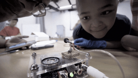 Experiment Ed Portal GIF by Harvard University - Find & Share on GIPHY