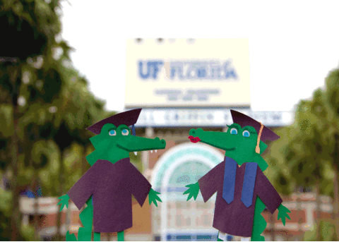 Gators Uf GIF by University of Florida - Find & Share on GIPHY