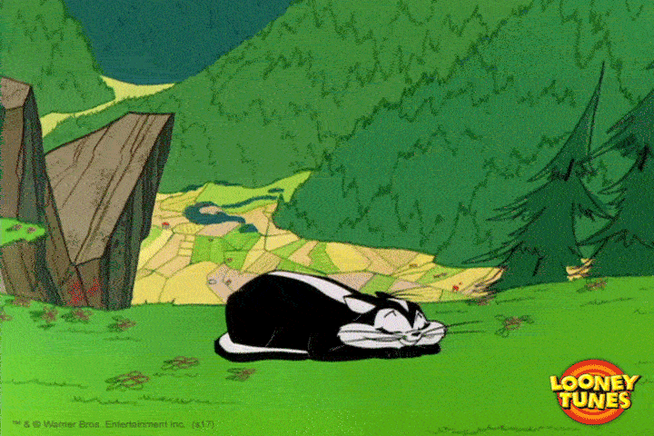 - Find & Share on GIPHY