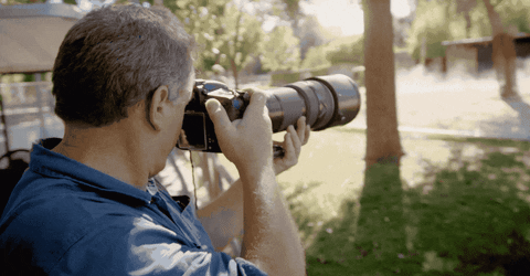 Public Broadcasting Service Photography GIF by PBS - Find & Share on GIPHY