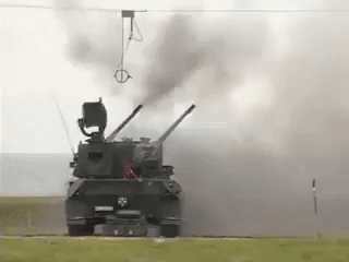 Gepard GIFs - Get the best GIF on GIPHY