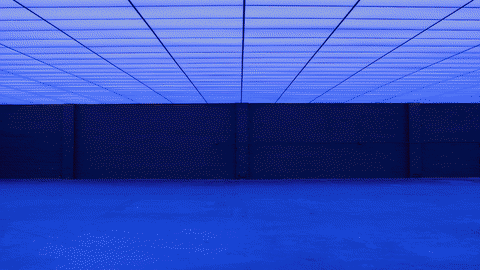 Tl Impact GIFs - Get the best GIF on GIPHY