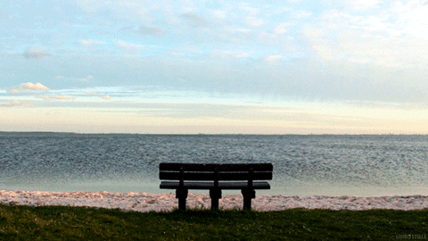 Beach Waves GIF by Living Stills - Find & Share on GIPHY