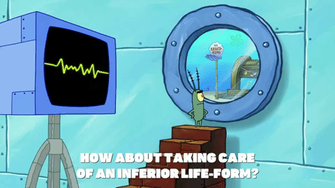 Season 9 Safe Deposit Krabs GIF by SpongeBob SquarePants - Find & Share ...