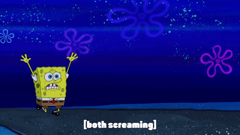 Season 9 GIF by SpongeBob SquarePants - Find & Share on GIPHY