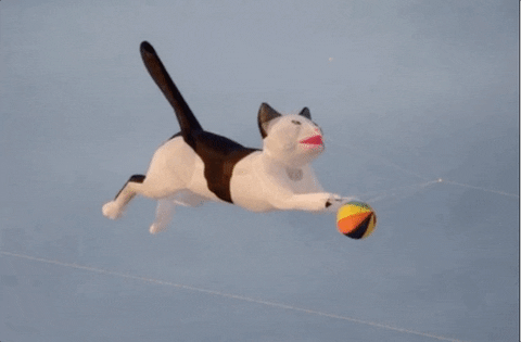 Cobra Kites GIFs - Get the best GIF on GIPHY