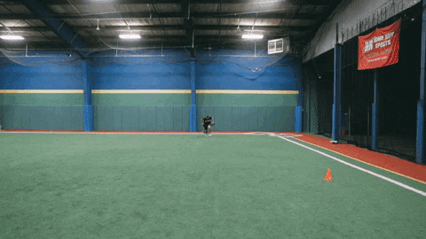 Sled Workout GIFs - Get the best GIF on GIPHY