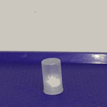 Slow Motion Explosion GIF by The Franklin Institute - Find & Share on GIPHY