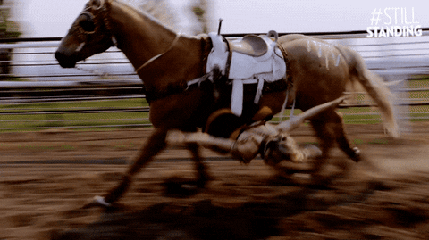 Calgary Stampede GIFs - Get the best GIF on GIPHY