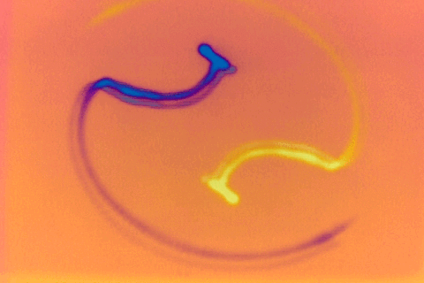 Video Art Analog GIF by J. Robinson - Find & Share on GIPHY