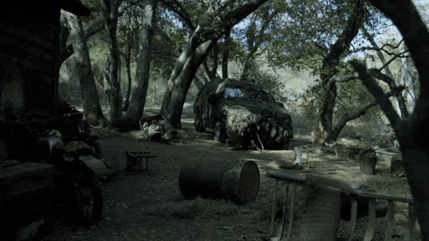 Tandy-hiding GIFs - Get the best GIF on GIPHY