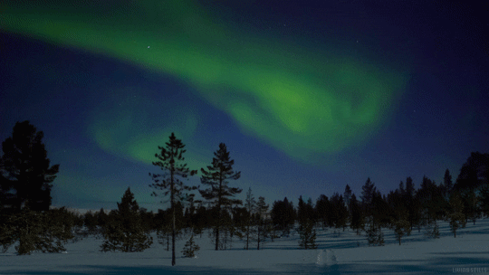 Northern Lights Snow GIF by Living Stills - Find & Share on GIPHY