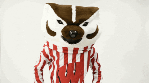 Wisconsin Badgers GIF by uwmadison - Find & Share on GIPHY