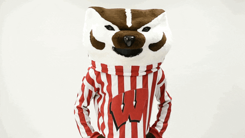 Wisconsin Badgers GIF by uwmadison - Find & Share on GIPHY