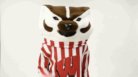 Wisconsin Badgers GIF by uwmadison - Find & Share on GIPHY