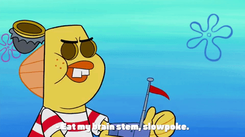 Episode 1 Whirly Brains GIF by SpongeBob SquarePants - Find & Share on ...