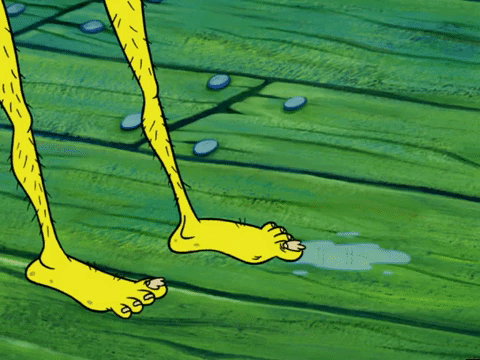 Season 6 GIF by SpongeBob SquarePants - Find & Share on GIPHY