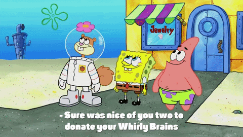 Episode 1 Whirly Brains GIF by SpongeBob SquarePants - Find & Share on ...
