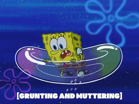 Season 5 GIF by SpongeBob SquarePants - Find & Share on GIPHY