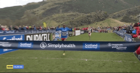 Ar-bis GIFs - Get the best GIF on GIPHY