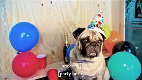 Closing Party GIFs - Get the best GIF on GIPHY