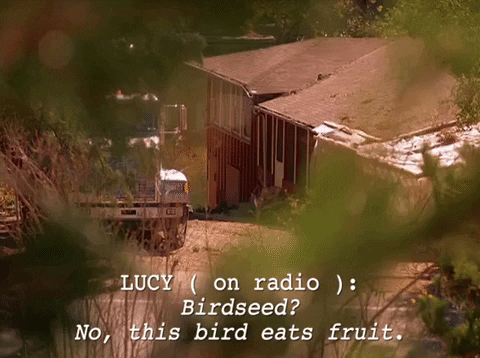 Bird-eat GIFs - Get the best GIF on GIPHY