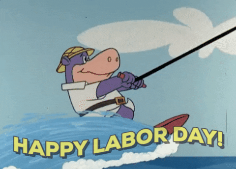 Long Weekend Alert! by Reaction GIFs | GIPHY