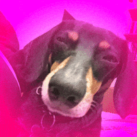 [티웨이항공]티웨이항공 TW175/176 새벽편 후기: 세부 막탄 공항 이용 경험 - 와우