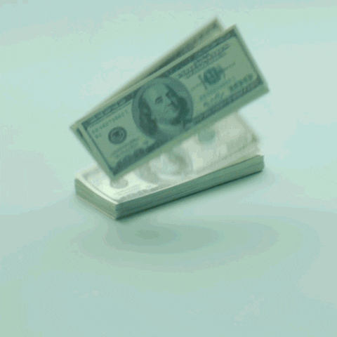 Objectif GIFs - Get the best GIF on GIPHY