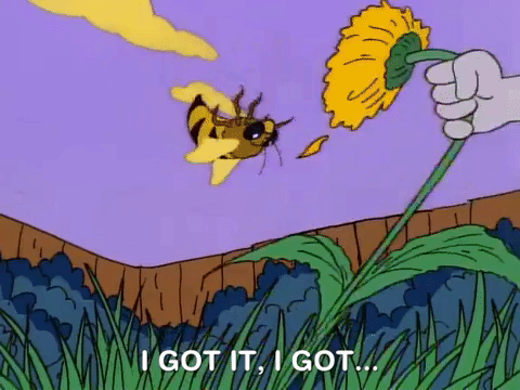 Hello Honey Bee GIFs - Get the best GIF on GIPHY