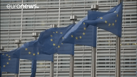 European Union Flag GIF by euronews - Find & Share on GIPHY