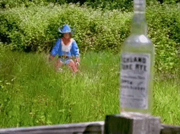 Cowboys GIF by Primus - Find & Share on GIPHY