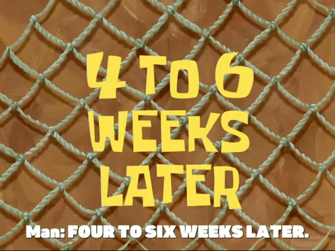 Season 4 GIF by SpongeBob SquarePants - Find & Share on GIPHY