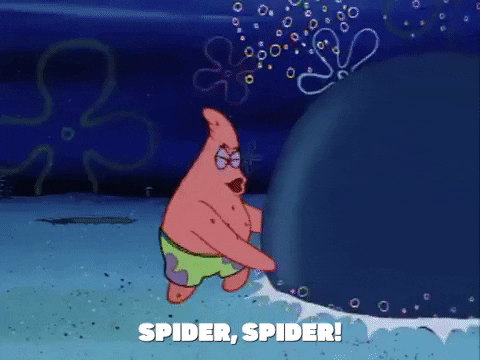 Patrick Spiser Gif Patrick Star Spiders GIFs | Tenor