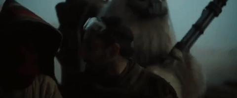 Bodhi-rook GIFs - Get the best GIF on GIPHY