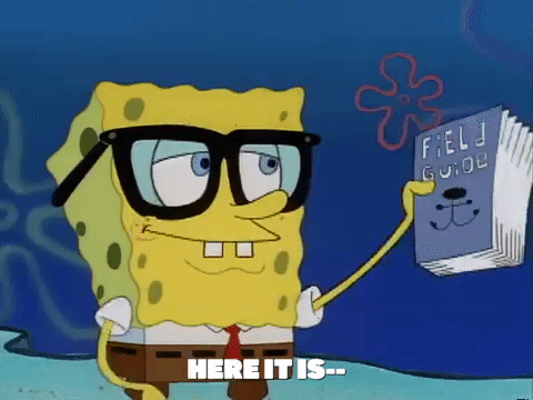 Season 1 Help Wanted GIF by SpongeBob SquarePants - Find & Share on GIPHY