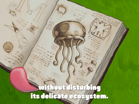 Delicate Ecosystems GIFs - Get the best GIF on GIPHY