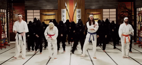 Ninja Dancing GIF by Walk Off The Earth - Find & Share on GIPHY
