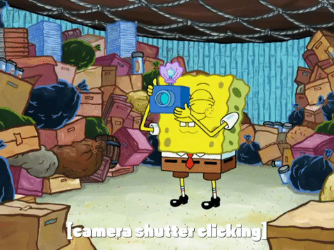 Season 8 Episode 3 GIF by SpongeBob SquarePants - Find & Share on GIPHY