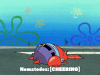 Spongebob Thirsty Nematodes