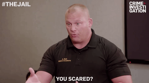 Acadie GIFs - Get the best GIF on GIPHY