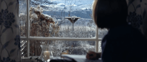 - Find & Share on GIPHY