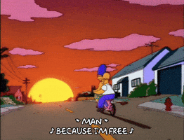 Im Free GIFs - Find & Share on GIPHY