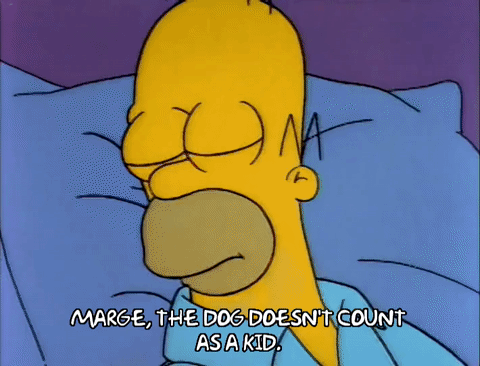 Frustrated Season 3 GIF - Find & Share on GIPHY