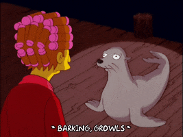 Angry Seal GIFs - Find & Share on GIPHY