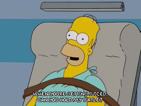 My Turtle GIFs - Get the best GIF on GIPHY