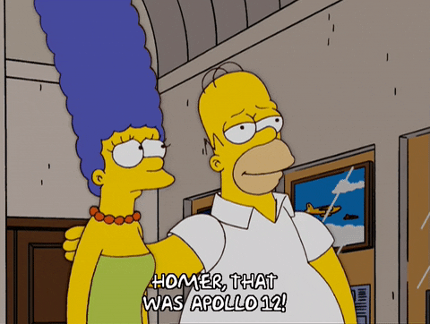 Talking Homer Simpson GIF - Find & Share on GIPHY