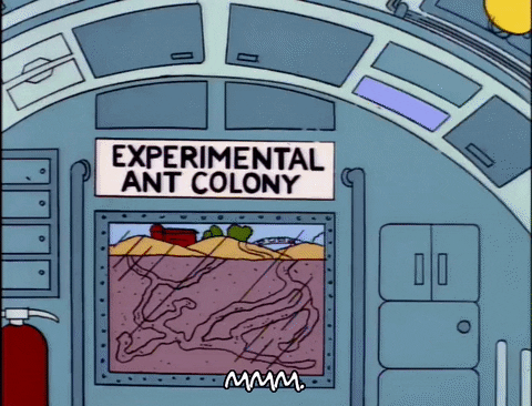 Colonialism GIFs - Find & Share on GIPHY