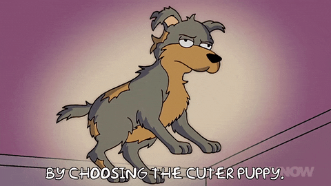 Cuthere GIFs - Get the best GIF on GIPHY